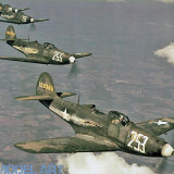 WW2 Aircraft Colors and Camouflage of The U.S. ARMY-USAAF - Gmodel Art