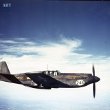 WW2 Aircraft Colors and Camouflage of The U.S. ARMY-USAAF - Gmodel Art