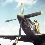 WW2 Aircraft Colors and Camouflage of The U.S. ARMY-USAAF - Gmodel Art
