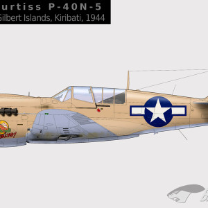 Curtiss P-40N Warhawk of 15th fighter group - Gmodel Art