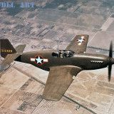 WW2 Aircraft Colors and Camouflage of The U.S. ARMY-USAAF - Gmodel Art